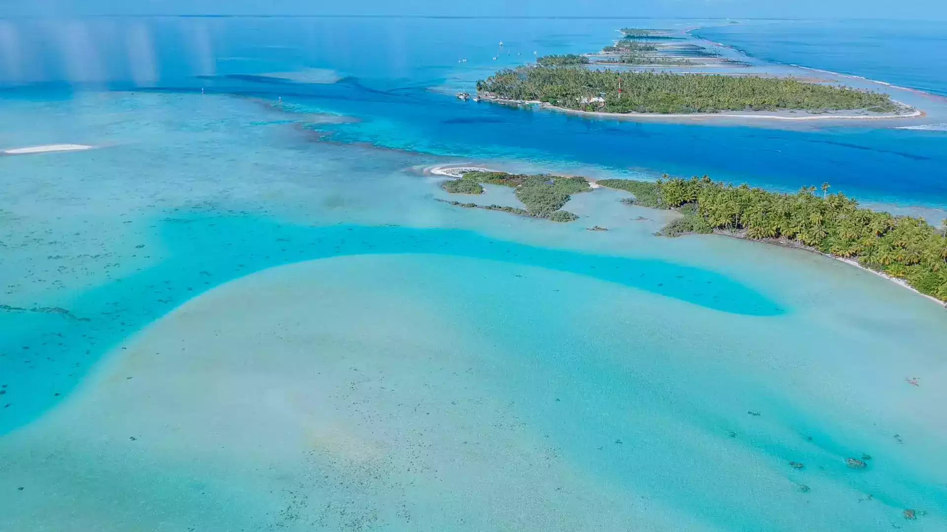 7 Best Things to Do on Fakarava, French Polynesia (2025)