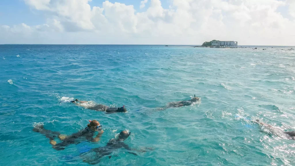7 Best Things to Do on Tikehau, French Polynesia (2025)